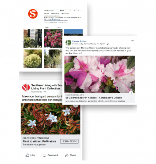 Advertising | Plant Development Services, inc.