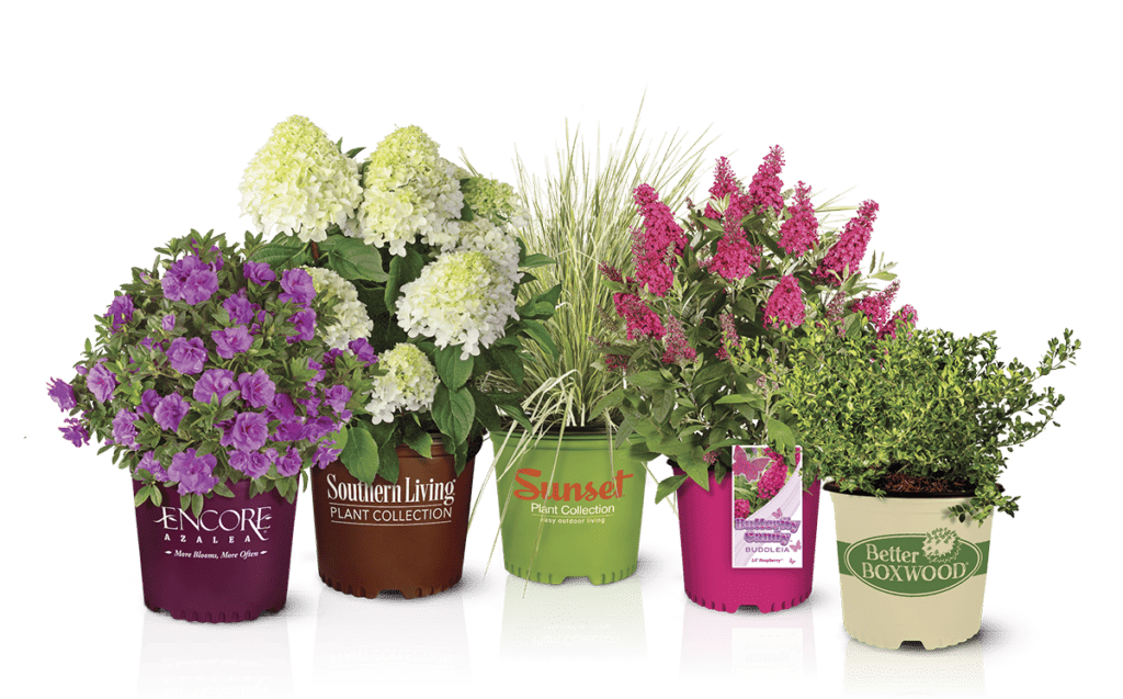 Plant Development Services, inc. | Home